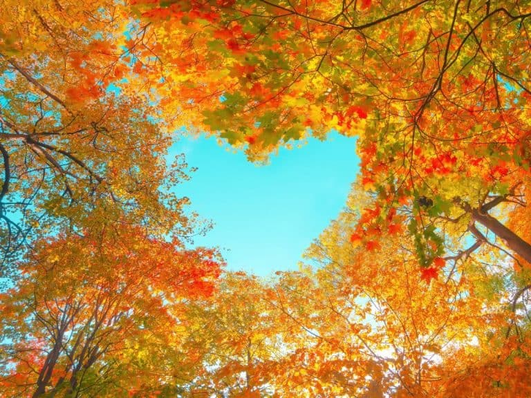 KLEEM Mantra: meaning & benefits - Awakening State