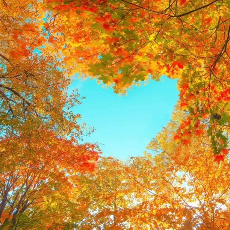 KLEEM Mantra: meaning & benefits - Awakening State