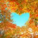 KLEEM Mantra: meaning & benefits - Awakening State