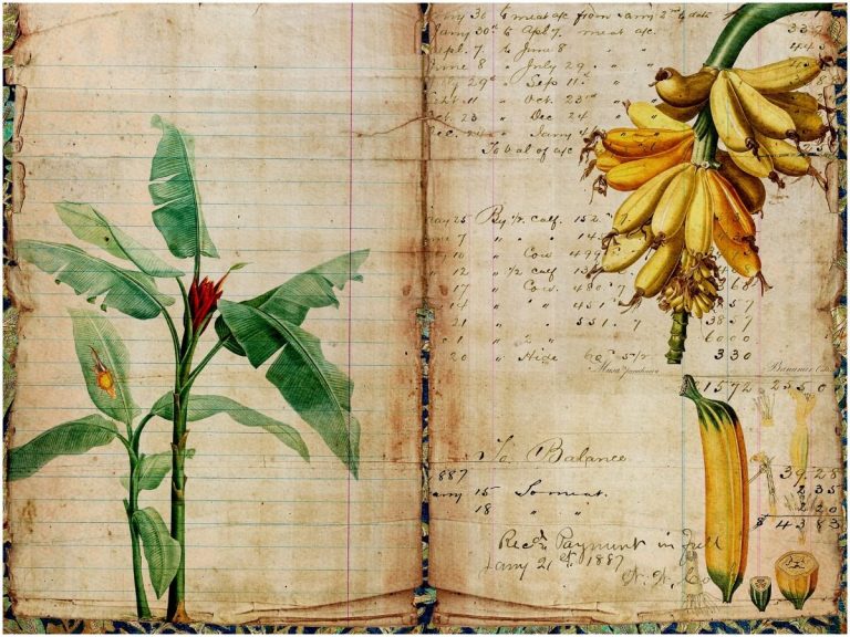 The Spiritual Meaning Of The Banana Awakening State