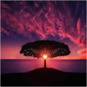 Grand Rising - Spiritual Meaning - Awakening State