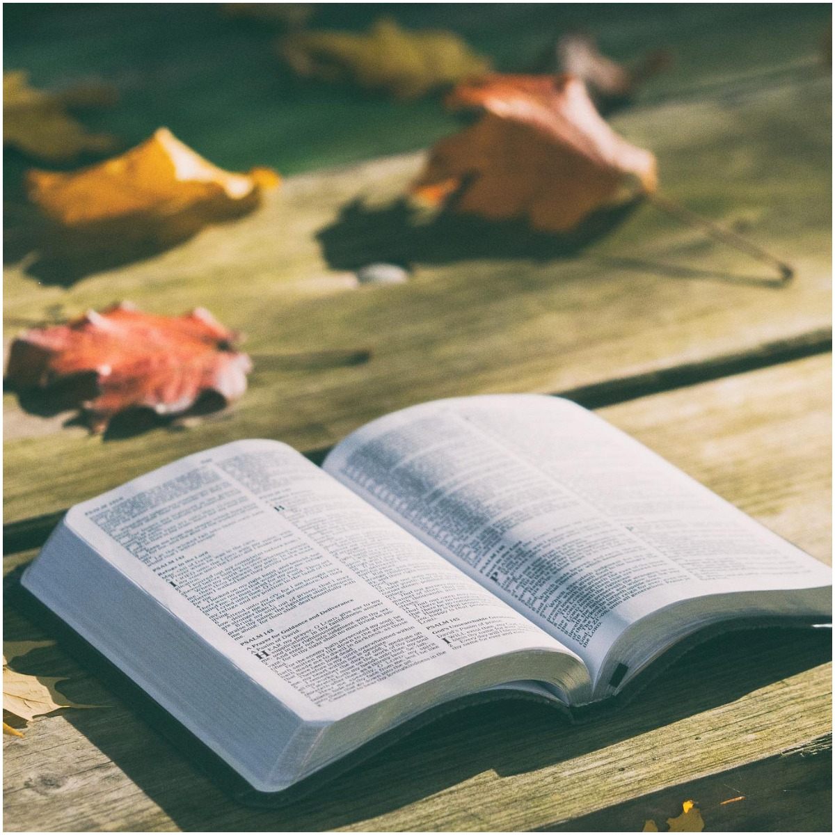 What Does 123 Mean In The Bible Awakening State