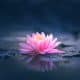 7 Powerful Symbols With Deep Meanings - Awakening State