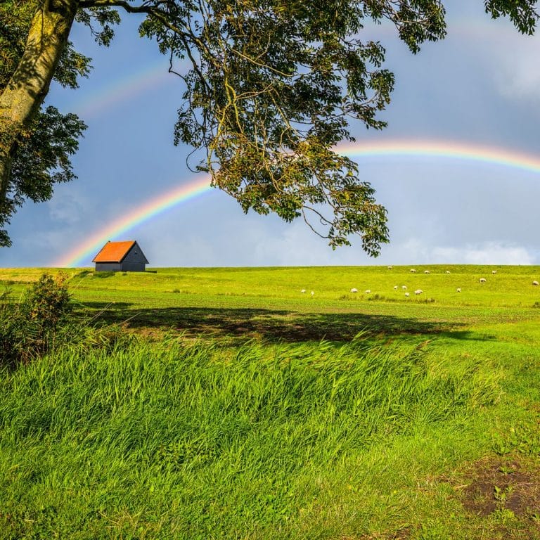 The Spiritual Meaning of Seeing a Rainbow - Awakening State