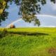 The Spiritual Meaning of Seeing a Rainbow - Awakening State