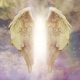 Angel Wings: Spiritual Meaning - Awakening State