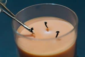 Candle Wick Mushroom: Spiritual Meaning - Awakening State