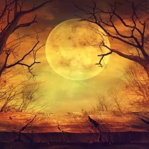 Snow Moon: spiritual meaning - Awakening State