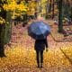 What Does Rain Mean Spiritually? - Awakening State