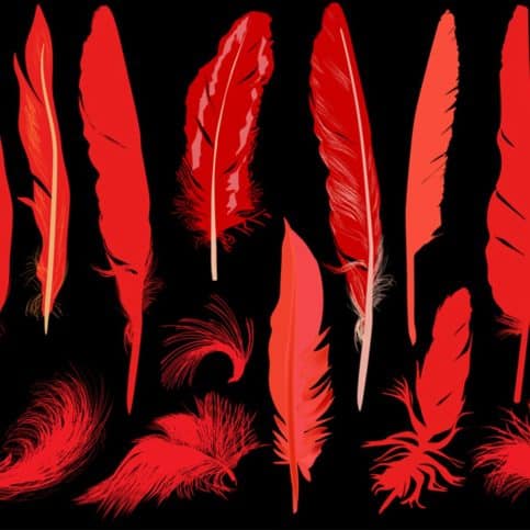 What is the Spiritual Meaning of Red Feather? + Bible - Awakening State