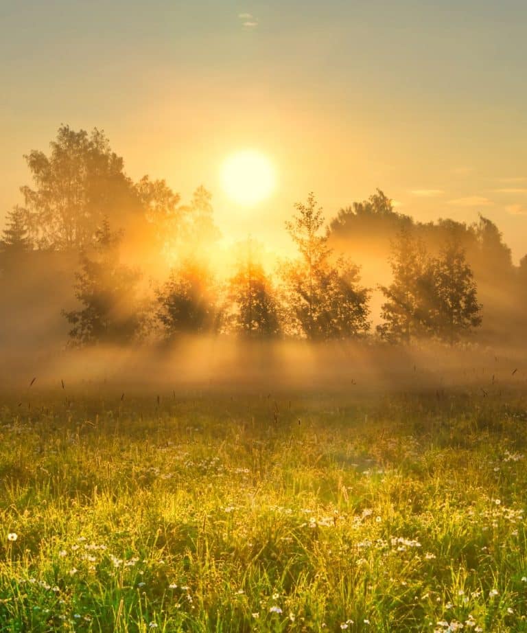 Summer Solstice: Spiritual Meaning - Awakening State