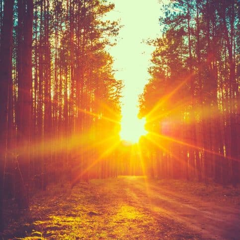 Fall Equinox: spiritual meaning - Awakening State