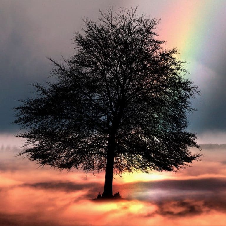 The Spiritual Meaning of Seeing a Rainbow - Awakening State