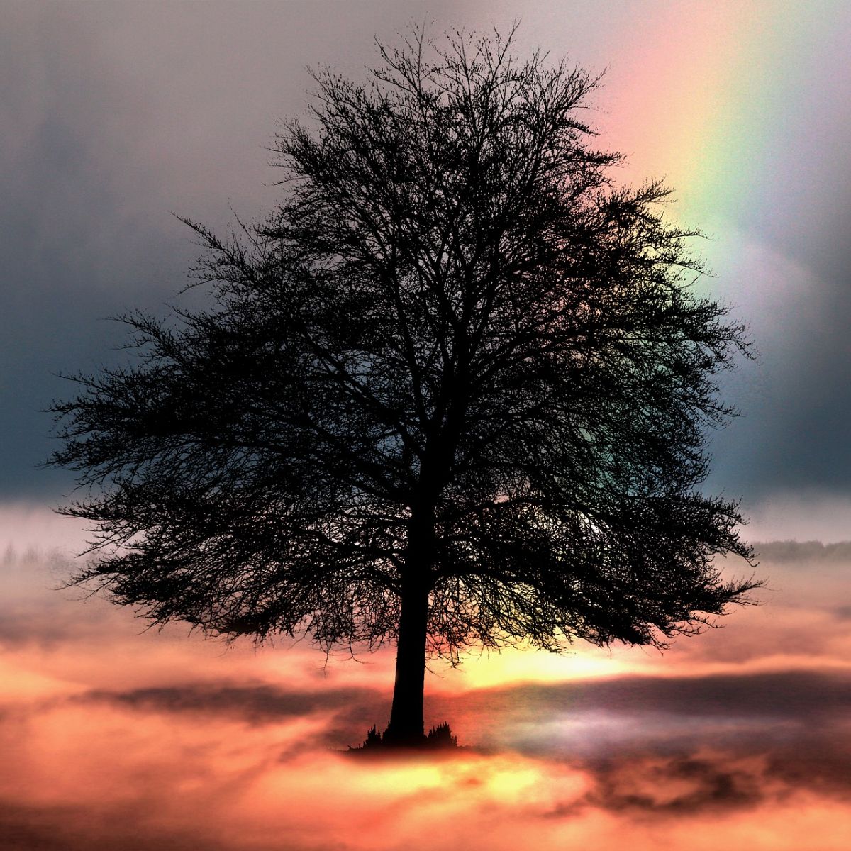 The Spiritual Meaning of Seeing a Rainbow - Awakening State